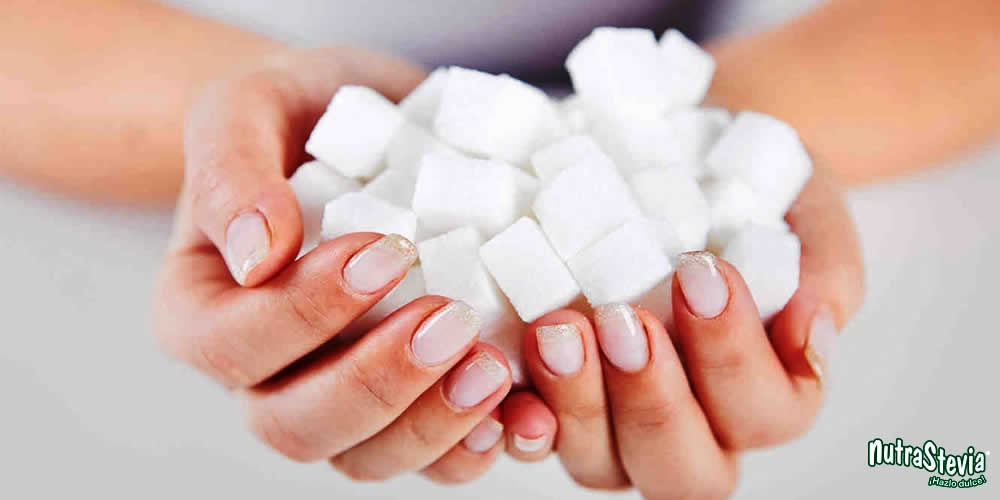 ¿Cuál es el azúcar más saludable para mi cuerpo? | NutraBlog