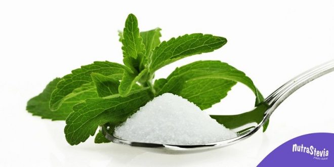 BENEFICIOS Y PROPIEDADES SALUDABLES DE LA STEVIA | | NutraBlog